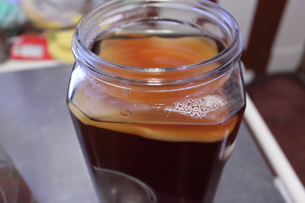 Kombucha experiment- Scoby Mama! part 2 – EAT it NOW or EAT it LATER