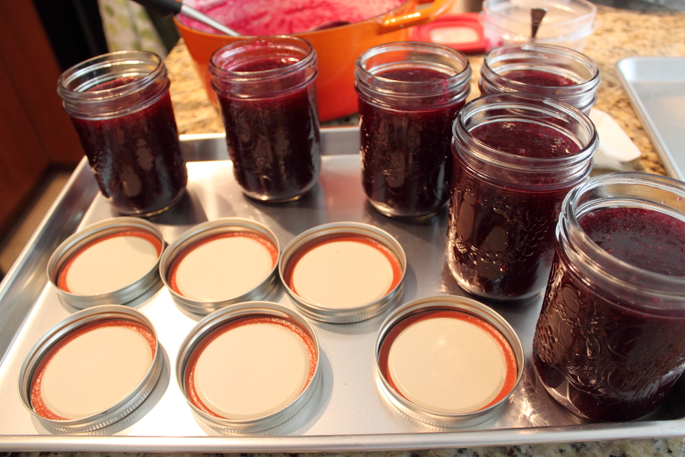 Got the Blueberry and Apple Jam – EAT it NOW or EAT it LATER