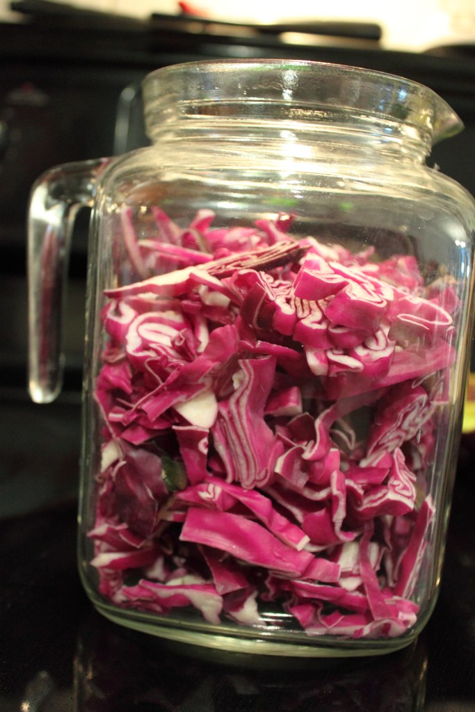 Red Cabbage Science! and Green Eggs and Ham – EAT it NOW or EAT it LATER