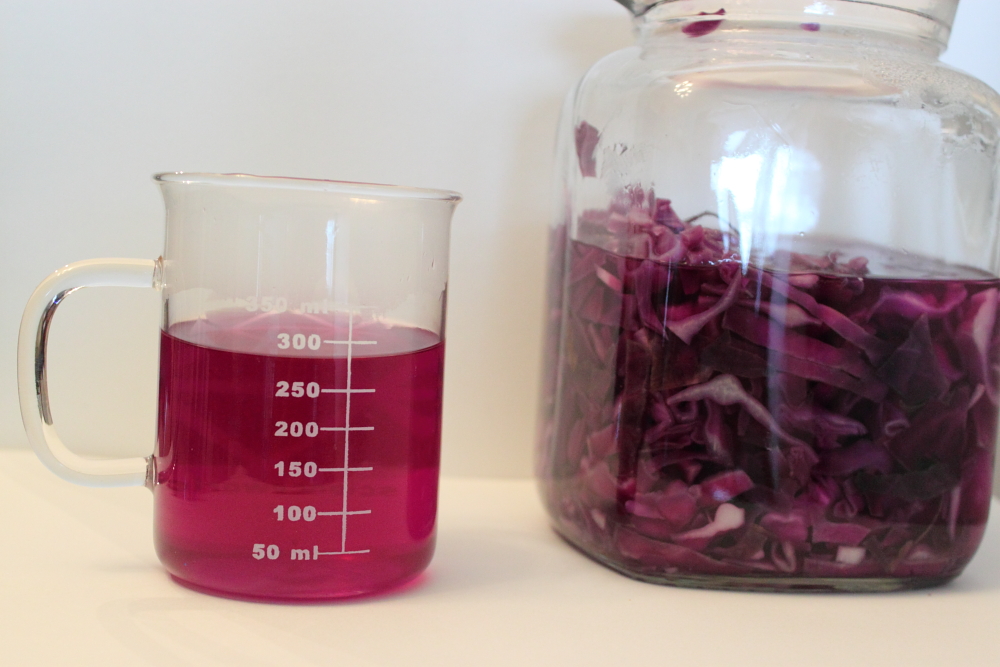 Red Cabbage Science! and Green Eggs and Ham – EAT it NOW or EAT it LATER