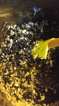 Edible Stocking Stuffers – Lumps of Coal and Snowman Poop – EAT it NOW ...