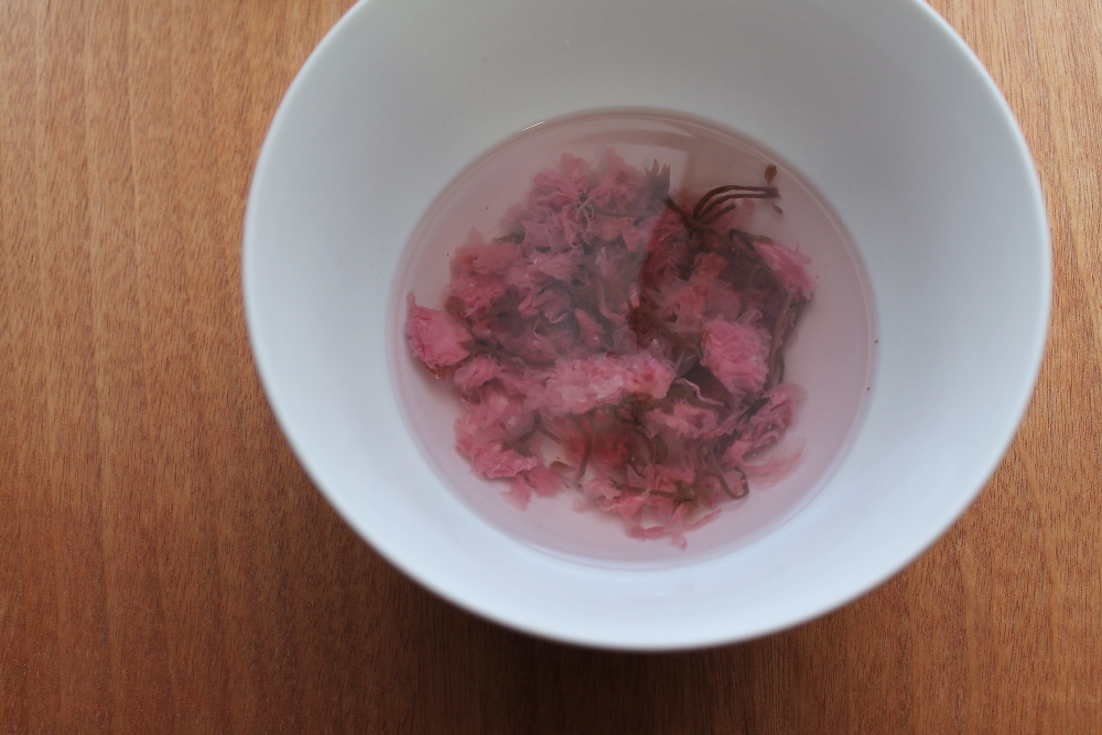 Cherry Blossom Milk Pudding – EAT it NOW or EAT it LATER
