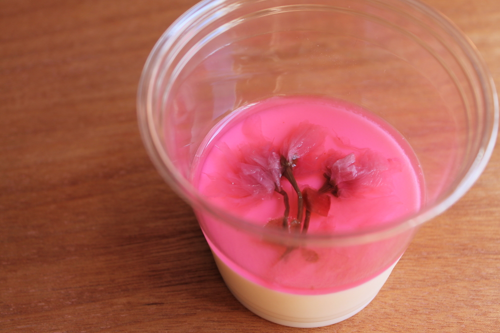 Cherry Blossom Milk Pudding – EAT it NOW or EAT it LATER