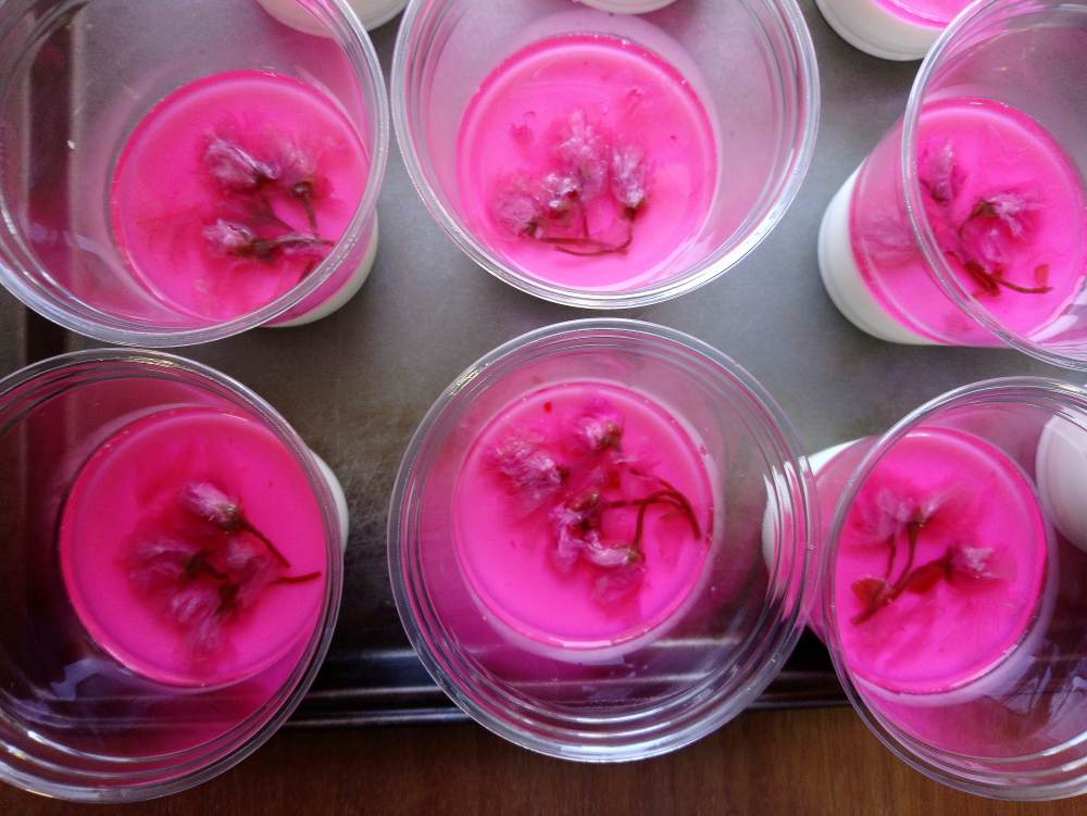 Cherry Blossom Milk Pudding – EAT it NOW or EAT it LATER