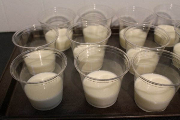 Cherry Blossom Milk Pudding – EAT it NOW or EAT it LATER
