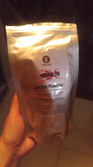 Cricket Chocolate Chip Cookies – EAT it NOW or EAT it LATER