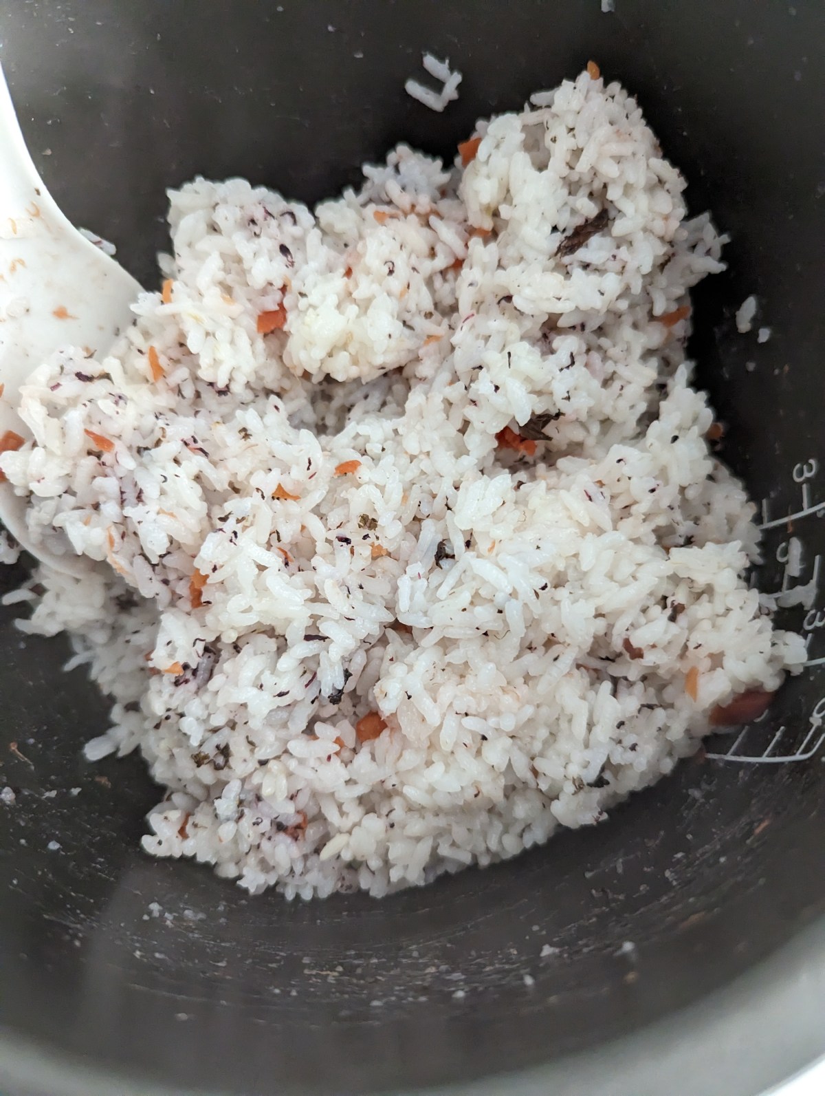 Ume Shiso Onigiri – EAT it NOW or EAT it LATER