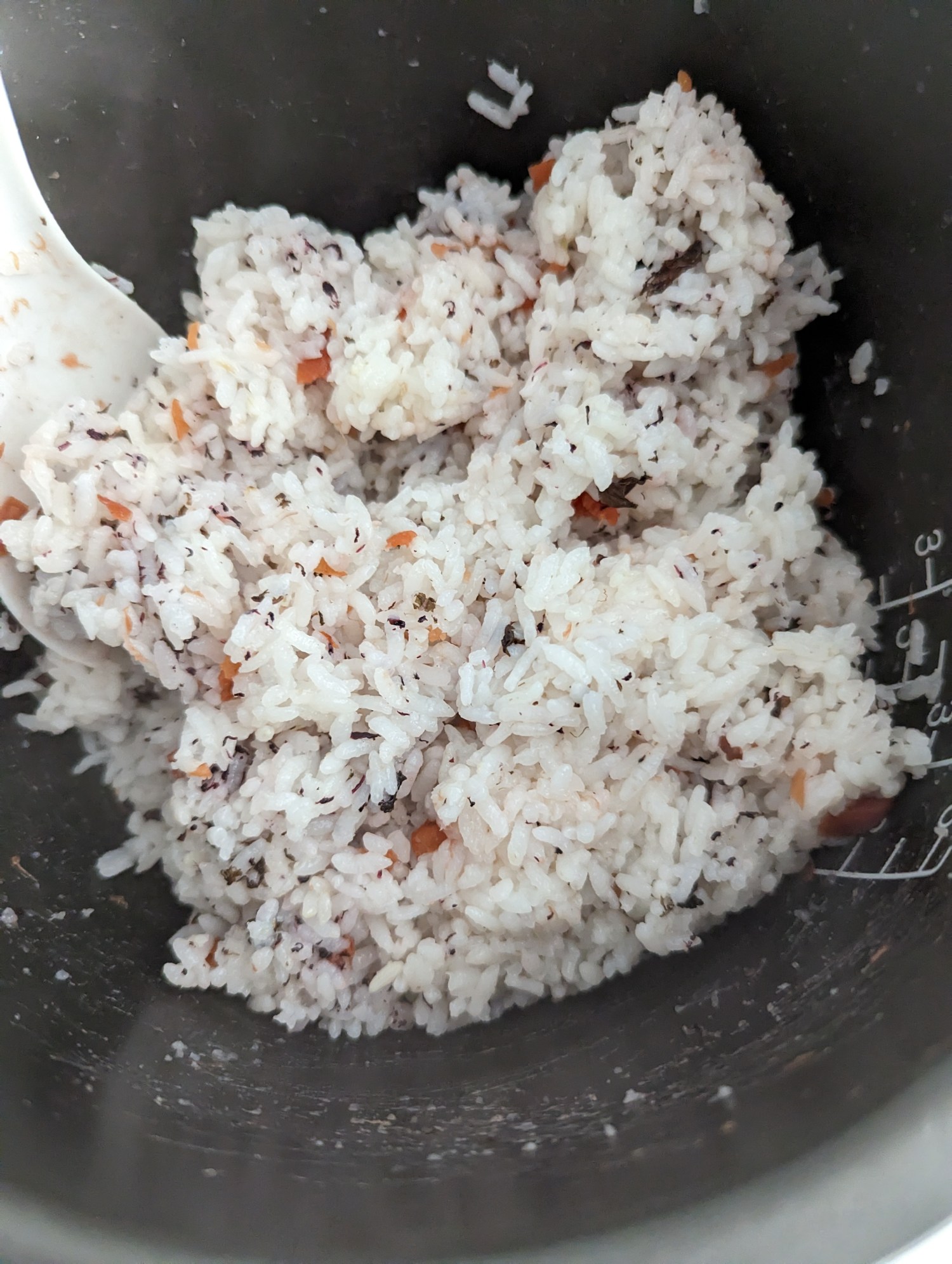 Ume Shiso Onigiri – EAT it NOW or EAT it LATER