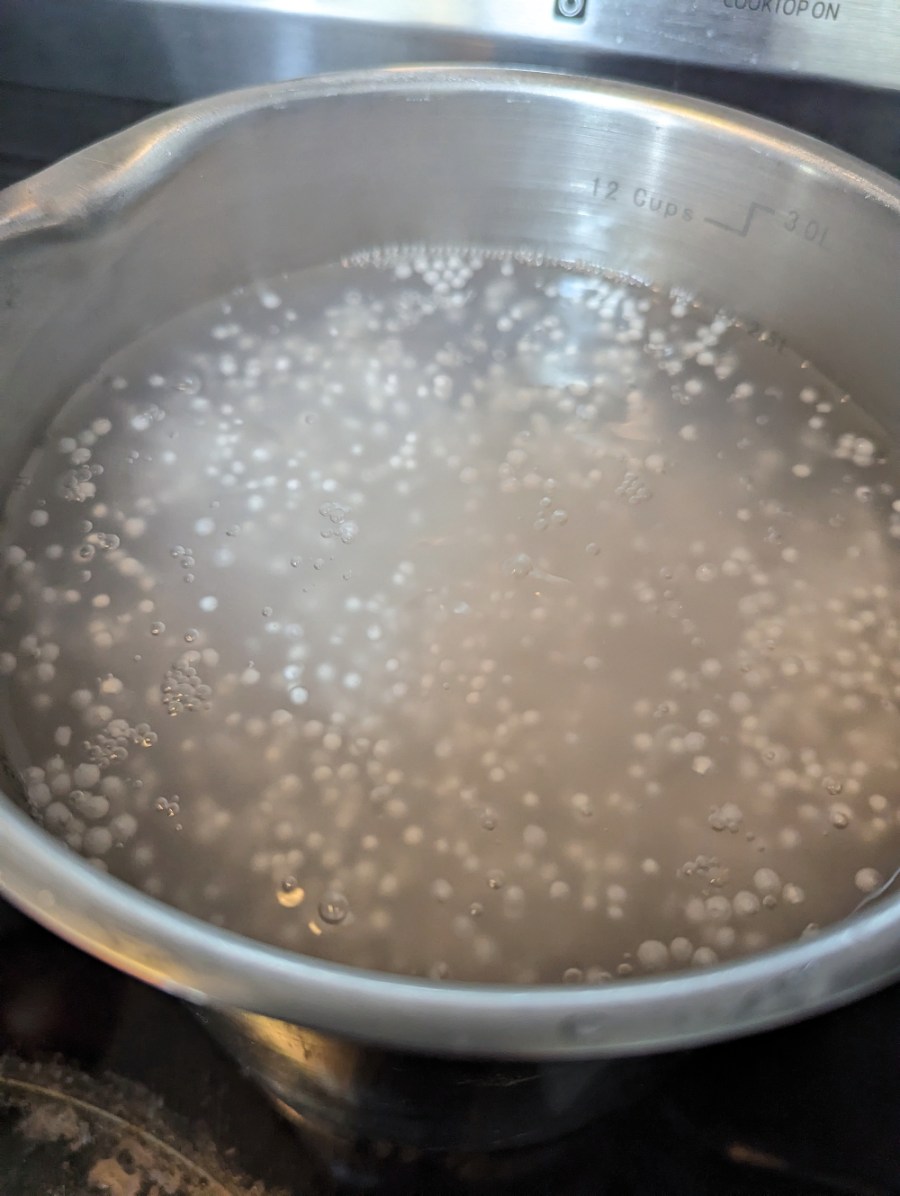 Mango Tapioca – EAT it NOW or EAT it LATER