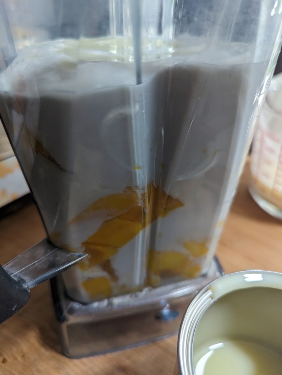 Mango Tapioca – EAT it NOW or EAT it LATER