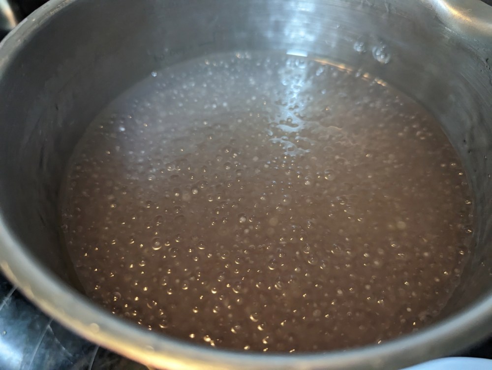 Mango Tapioca – EAT it NOW or EAT it LATER