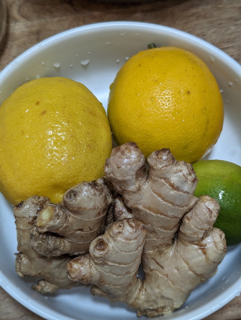 Honey Fermented Lemon Ginger – EAT it NOW or EAT it LATER