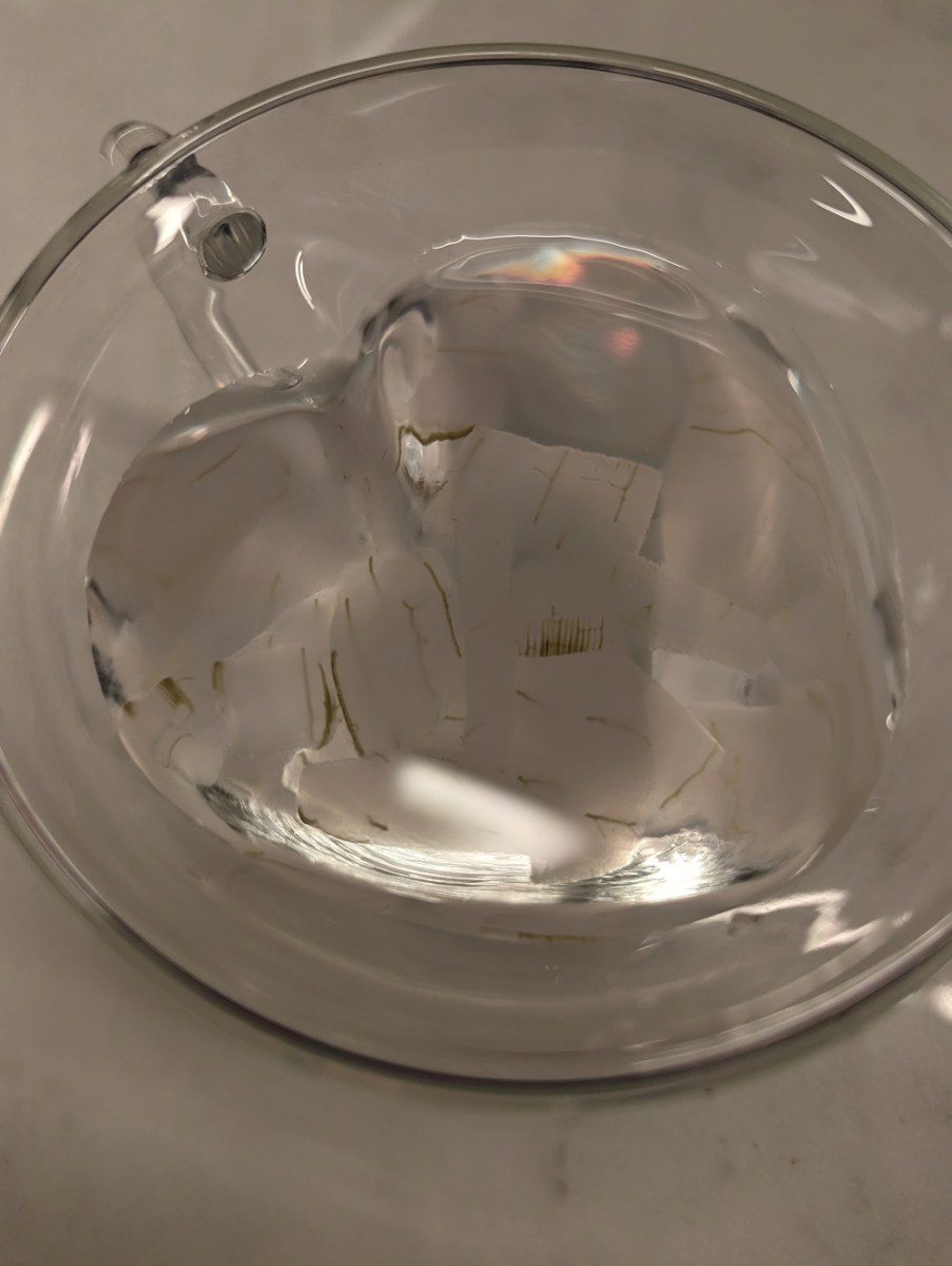 Aloe Jelly Drink – EAT it NOW or EAT it LATER